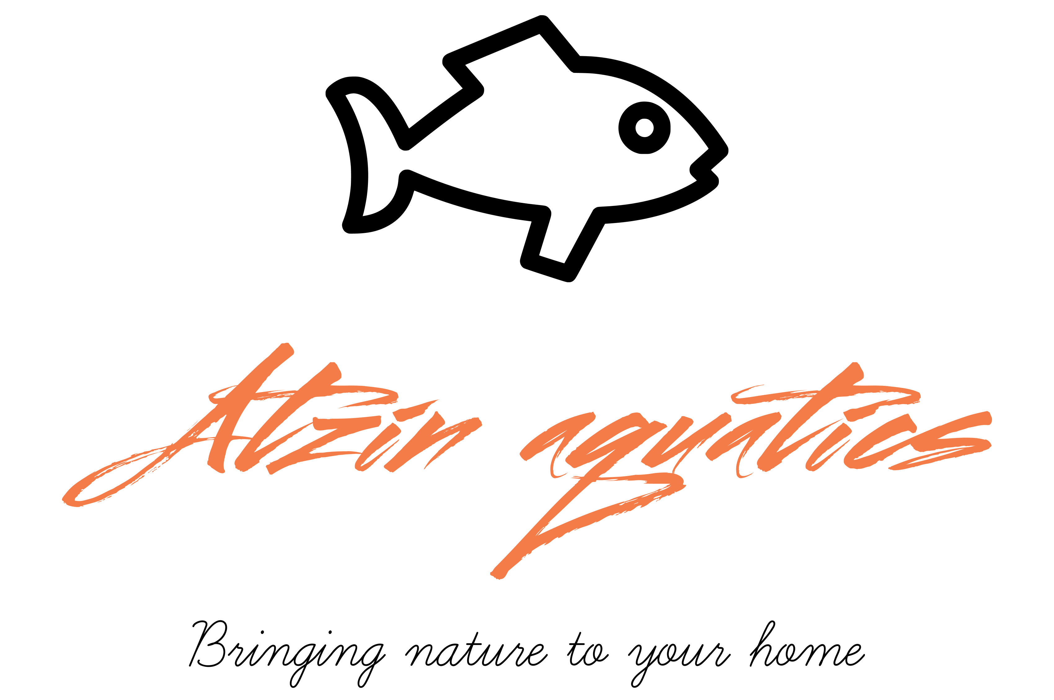 Atzin Aquatics – Un blog dedicado al hobby del pez dorado